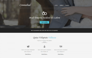 27 Best Free Wedding HTML Website Templates 2024