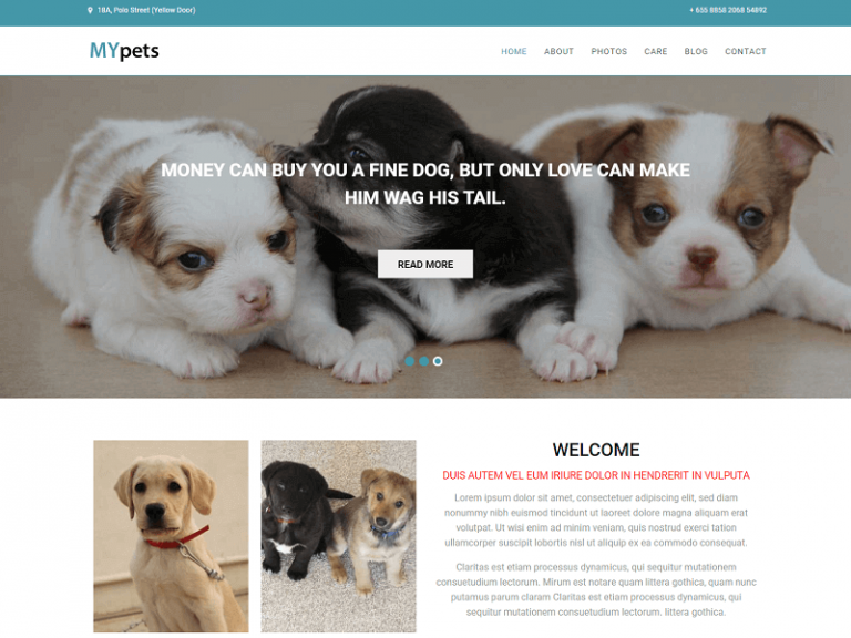 26 Best Free Animals Pets HTML Website Templates 2024