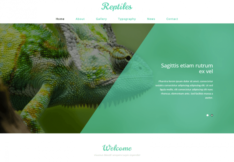 26 Best Free Animals Pets HTML Website Templates 2024