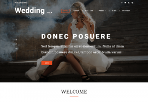 29 Best Free HTML Website Templates 2022 - Digital Template Market