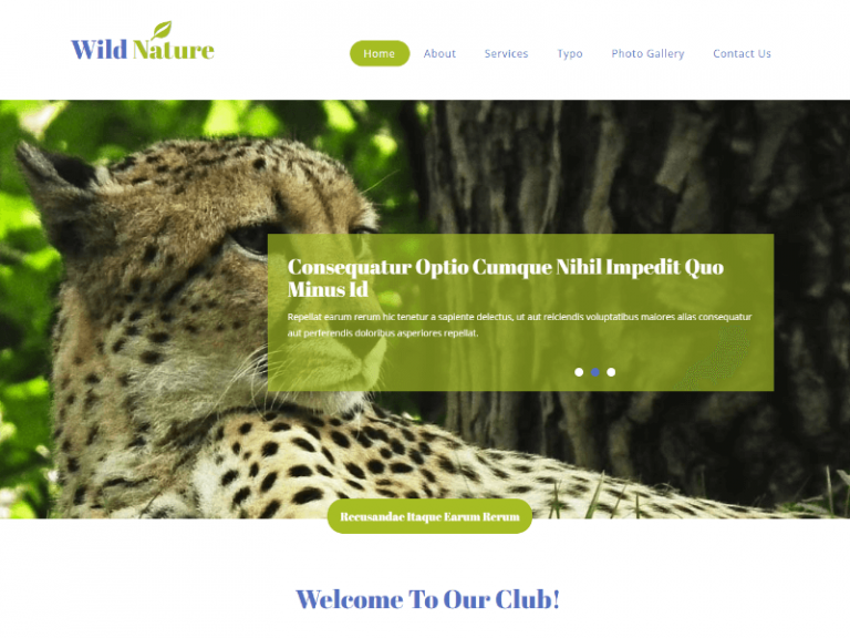 26 Best Free Animals Pets HTML Website Templates 2024