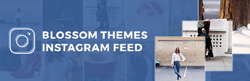 30 Best Free WordPress Instagram Plugins - DigitalTemplateMarket