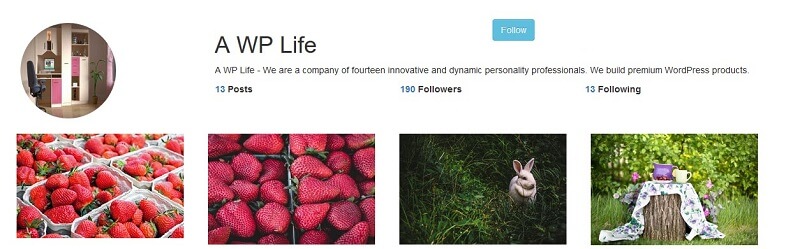 30 Best Free WordPress Instagram Plugins - DigitalTemplateMarket