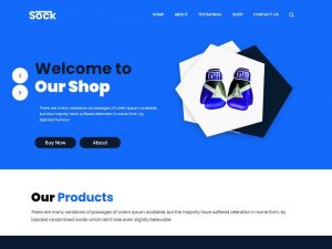 10 Best Free Sports HTML Website Templates In 2024