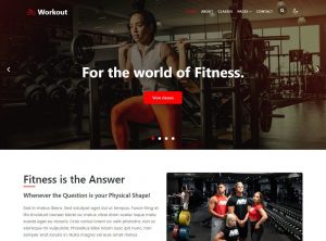10 Best Free Sports HTML Website Templates In 2024