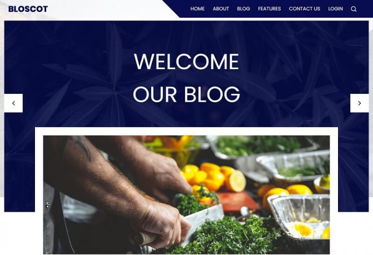 16 Best Free Blog HTML Website Templates In 2025